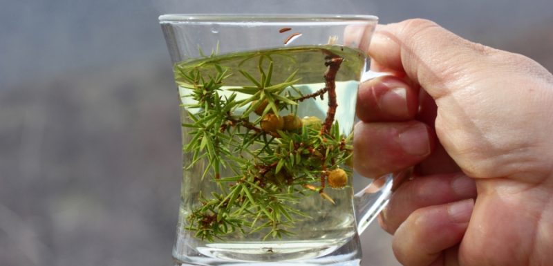 Ienupar: Beneficii, Utilizări și Rețete cu Fructe și Boabe