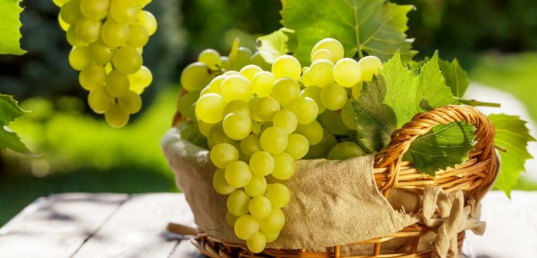 Struguri: Proprietăți, Beneficii si Contraindicații